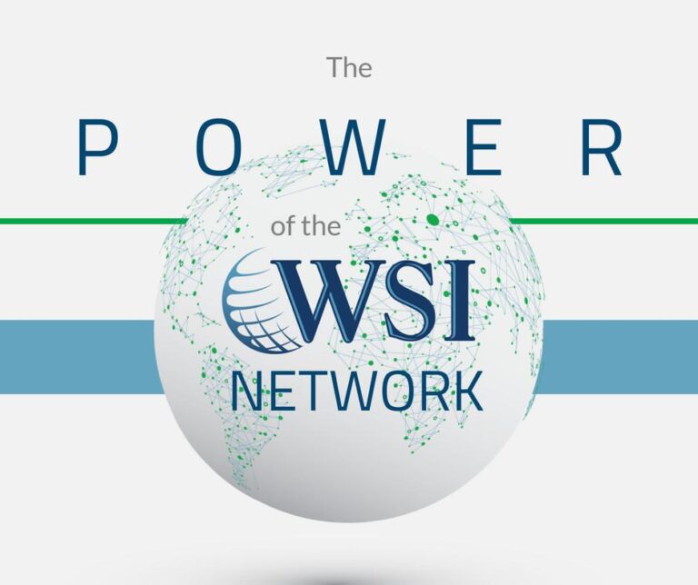 The-Power-of-WSI - WSI Digital Marketing
